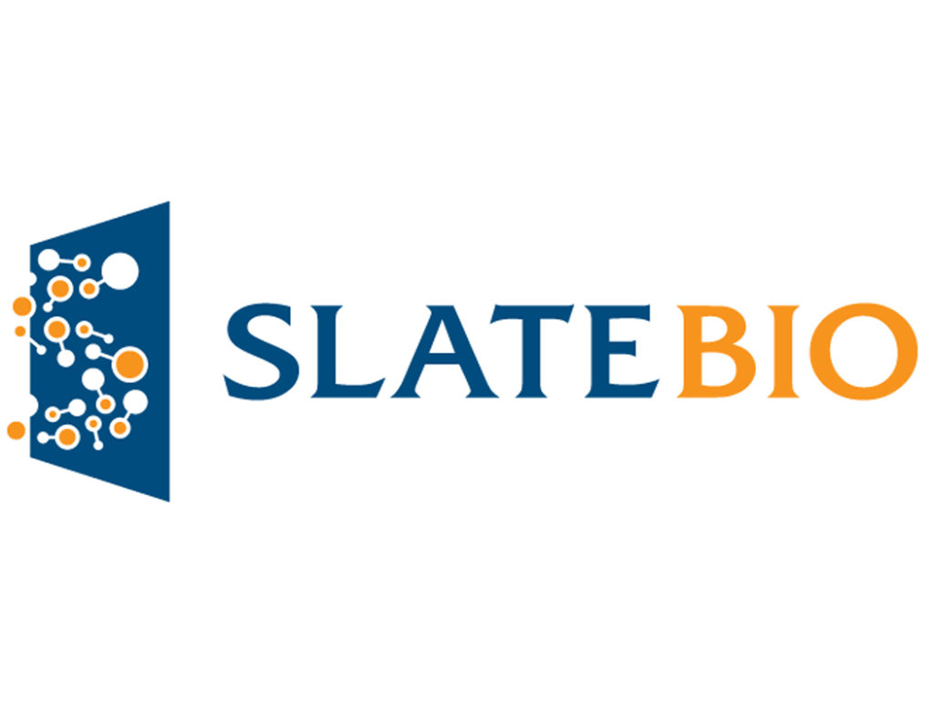 Portfolio – Epidarex